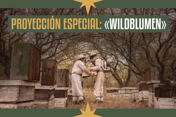 Festival 2023 – Angular