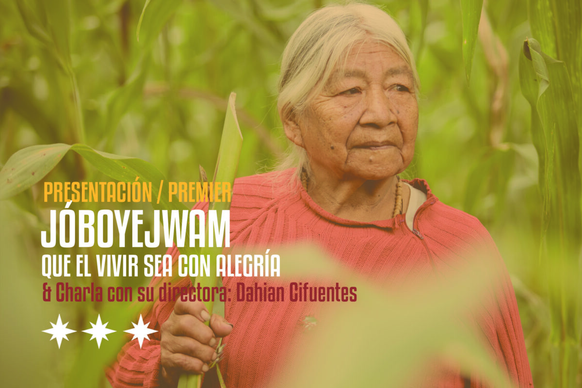 Festival 2023 - Angular